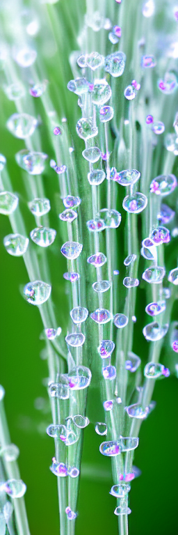 Stable Diffusion prompt: There are many green pointed - PromptHero